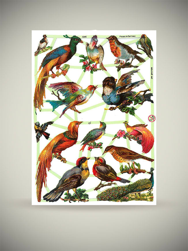 Buy German Bird Sticker Sheets | Tartan & Zebra
