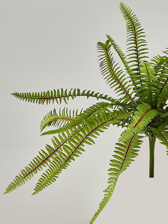 Artificial Faux Decorative Fern 'Baker' 40 cm – Tartan & Zebra