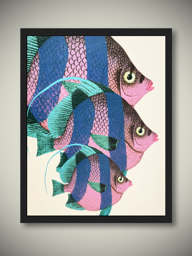 Láminas Decorativas Enmarcadas 'Peces’ 40X50 | Tartan & Zebra
